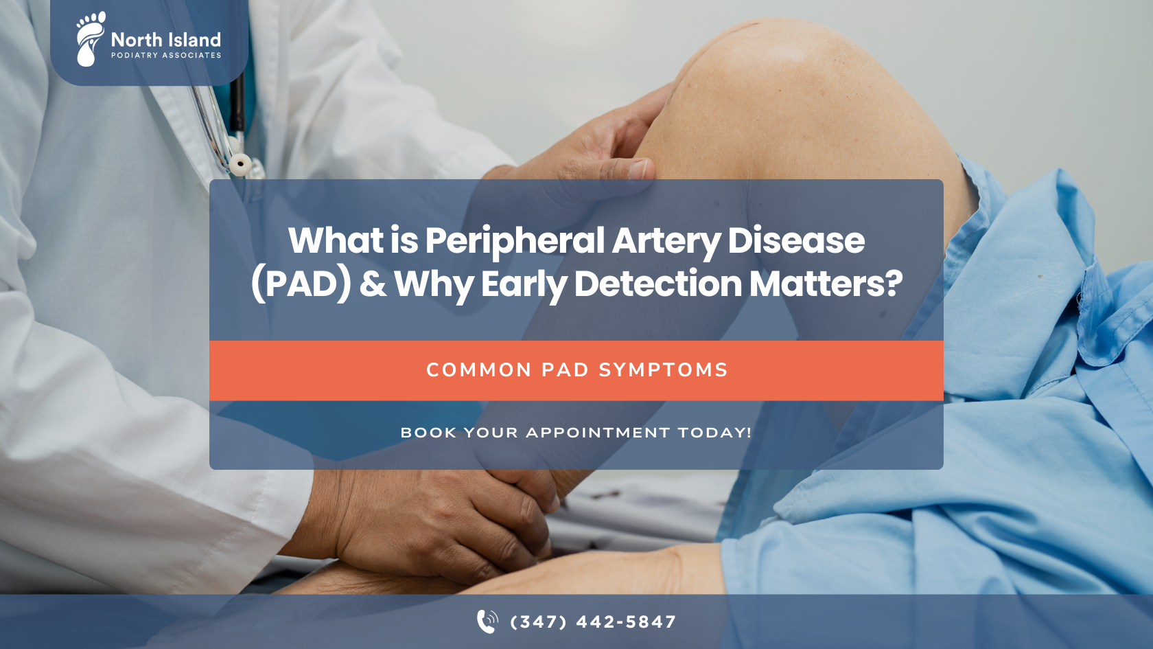 Understanding Peripheral Artery Disease (PAD): Symptoms, Risks, and ...